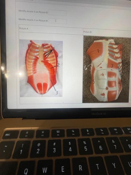 Solved Identify structure Identify structure | Chegg.com