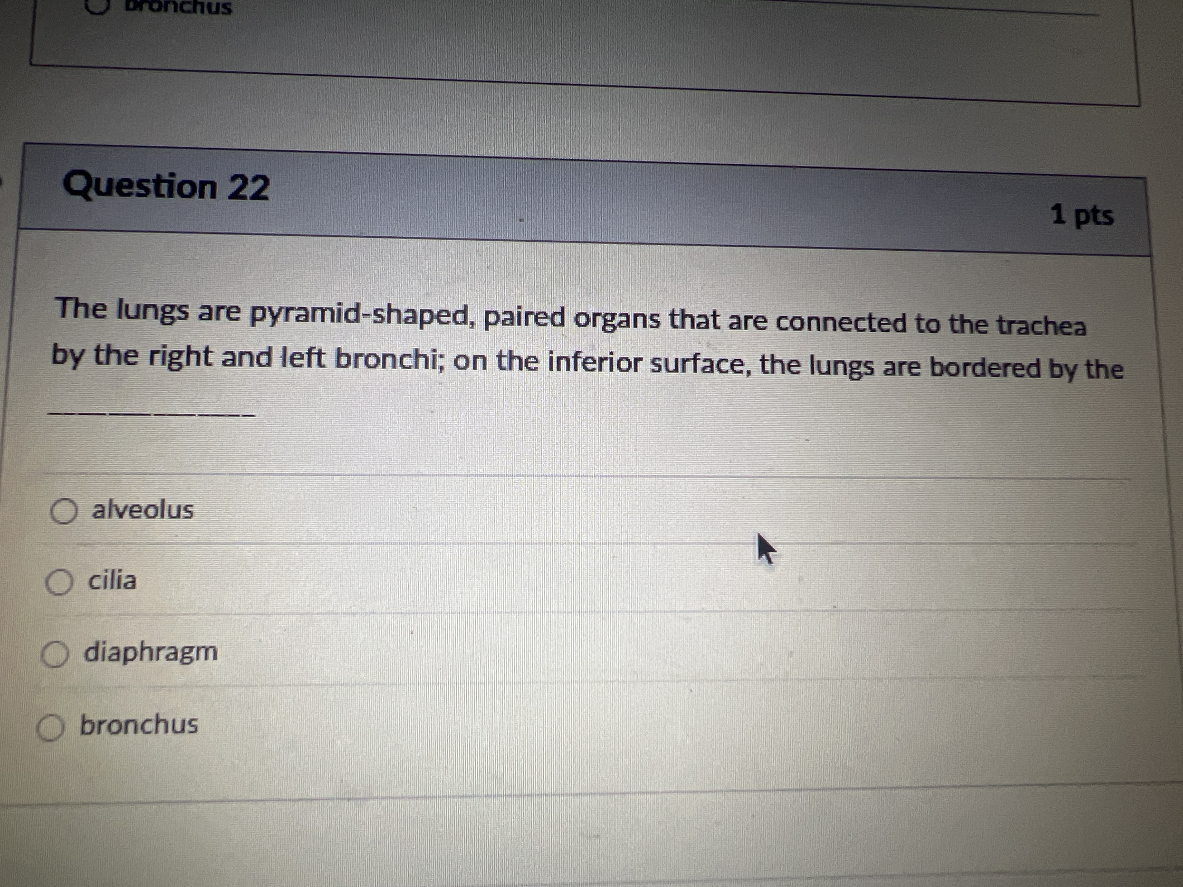 Solved Question 22The lungs are pyramid-shaped, paired | Chegg.com