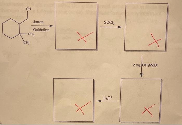 Solved provide the major product of each step | Chegg.com