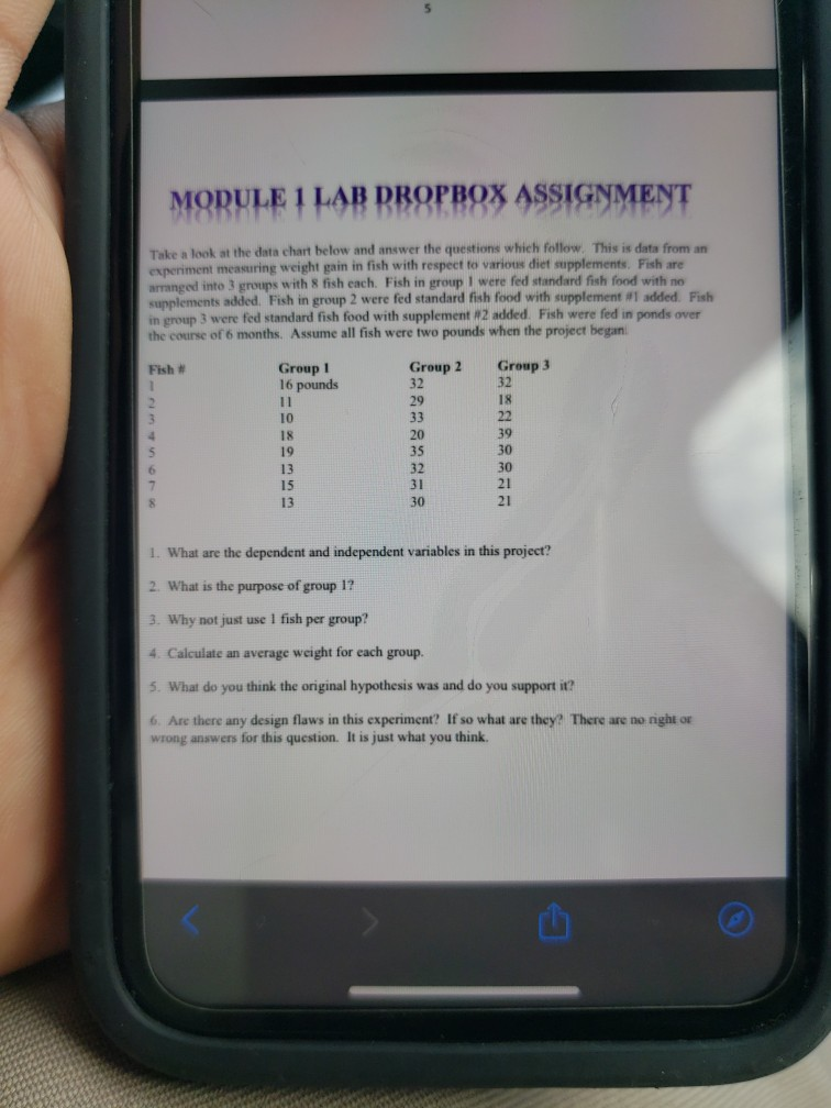 MODULE 1 LAB DROPBOX ASSIGNMENT Take a look at the | Chegg.com