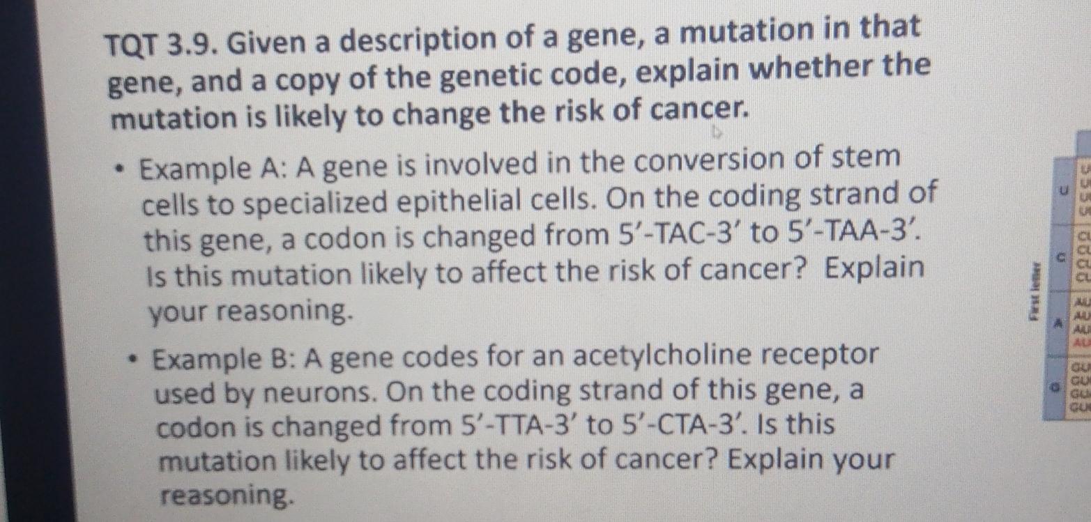 Solved TQT 3.9. ﻿Given a description of a gene, a mutation | Chegg.com