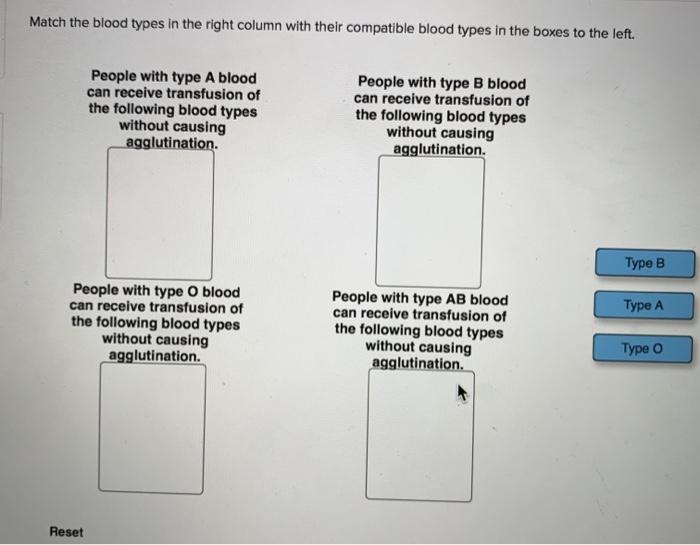 Solved Match the blood types in the right column with their | Chegg.com