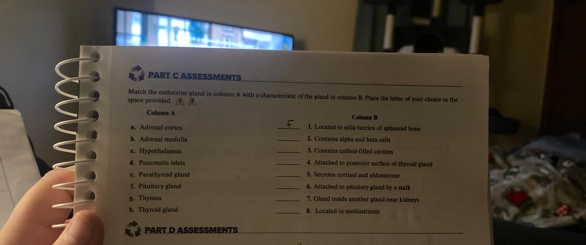 Solved PART C ASSESSMENTSMatch the endocrine gland in column | Chegg.com