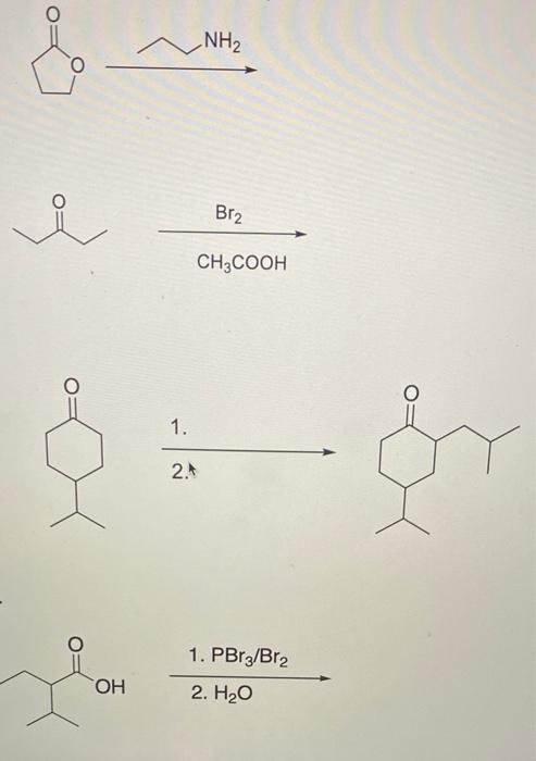 Solved NH2 요 i Br2 CH3COOH 1. 2. 1. PBr3/Br2 2. H20 OH | Chegg.com
