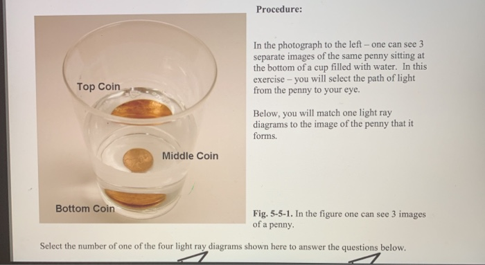Solved Procedure: In the photograph to the left - one can | Chegg.com