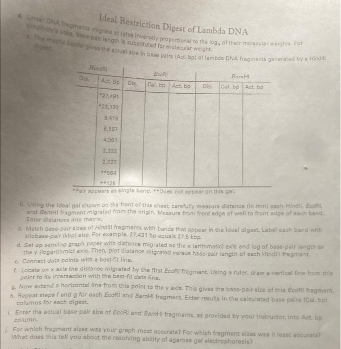Ideal Restriction Digest of Lambda DNA 4 TONA | Chegg.com
