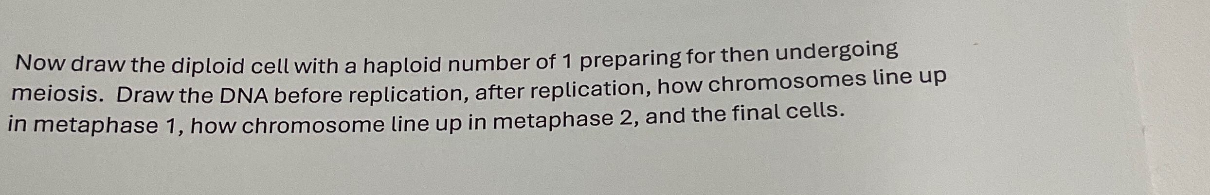 Solved Now draw the diploid cell with a haploid number of 1 | Chegg.com