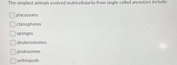 Solved The simplest animals evolved multicellularity from | Chegg.com