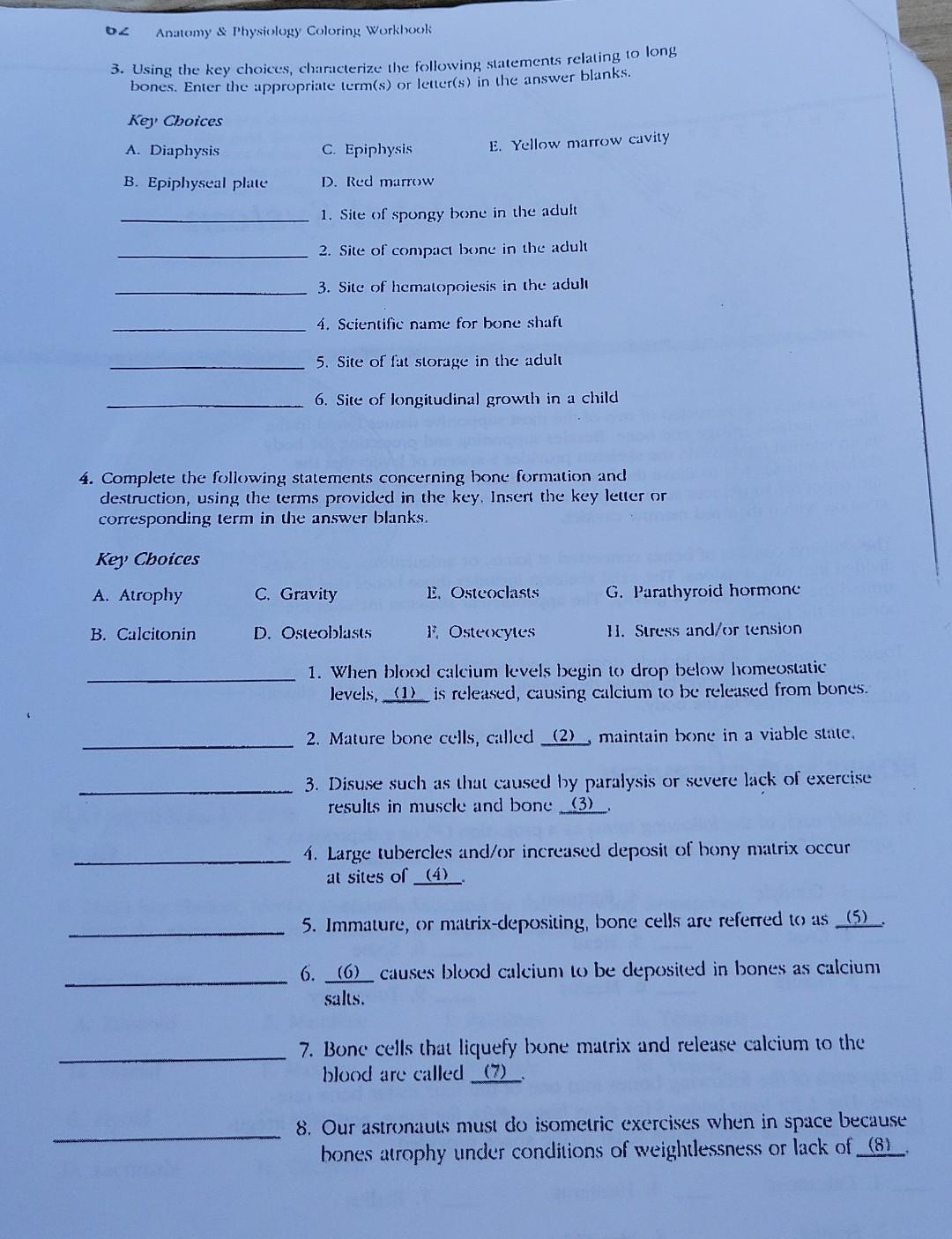 Solved Chapter 5 The Skeletal System 63 5. Five descriptions | Chegg.com