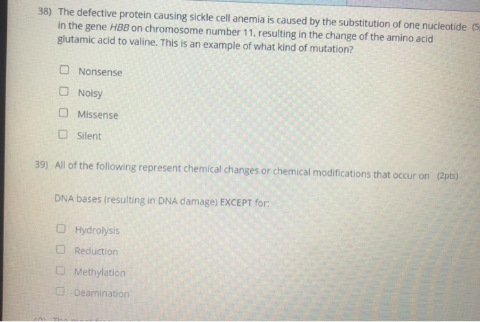 Solved 28) In eukaryotes, the "end replication problem" that | Chegg.com