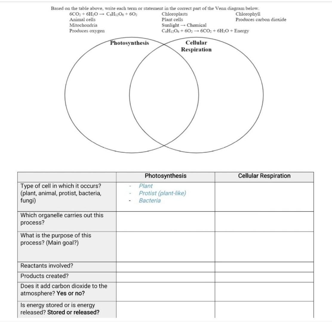 Photosynthesis Vs Cellular Respiration Venn Diagram