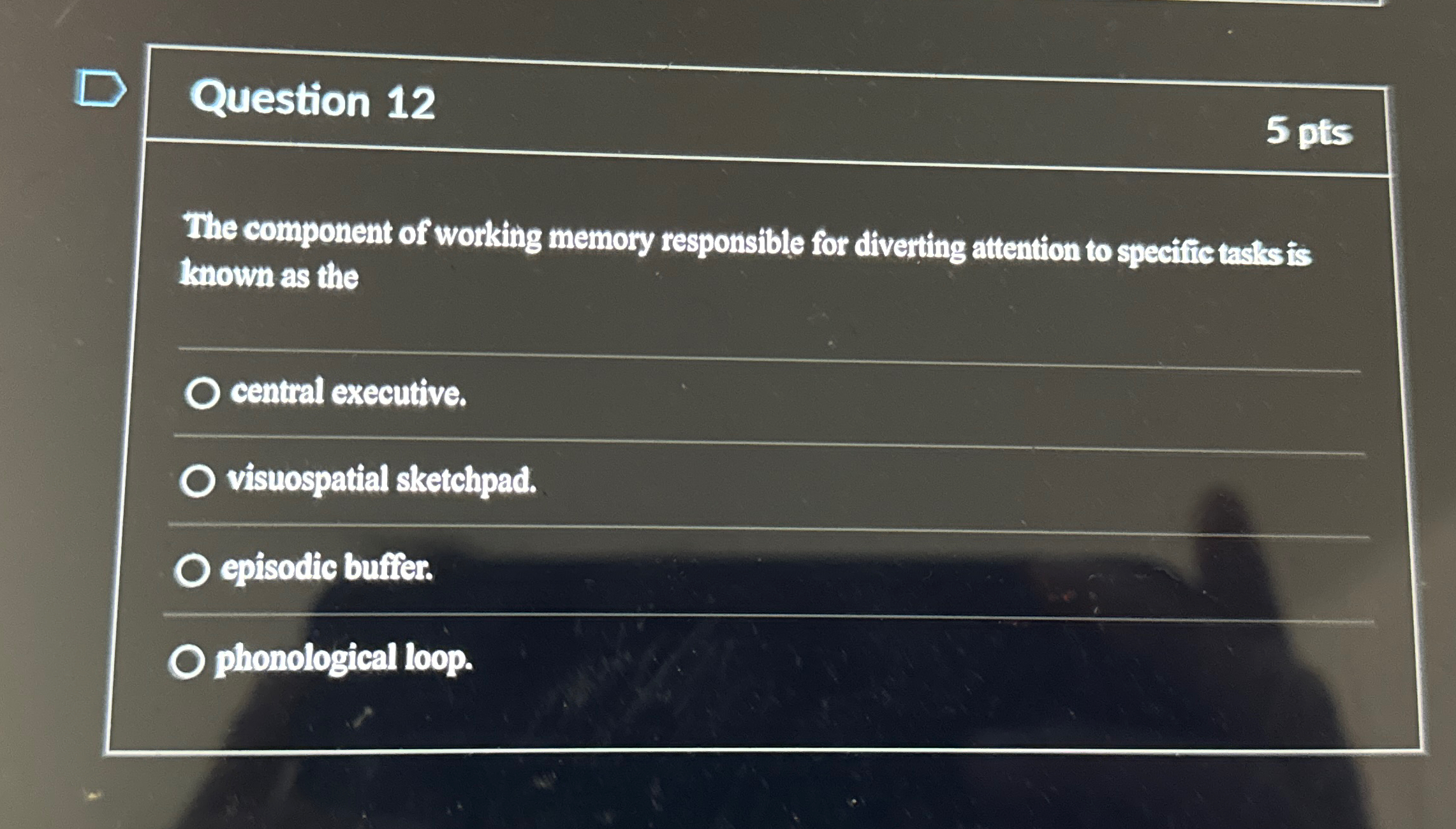 Solved Question 125 ﻿ptsThe component of working memory | Chegg.com