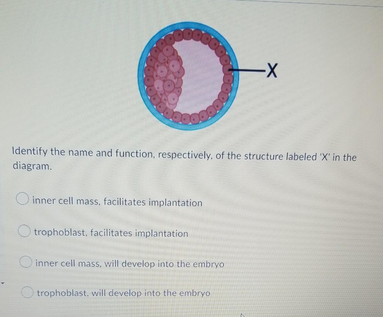 Solved Identify the name and function, respectively, of the | Chegg.com
