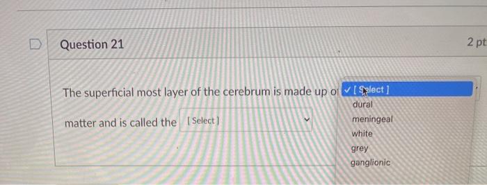 Solved Question 21 2 pt The superficial most layer of the | Chegg.com