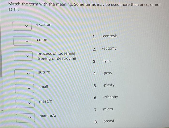 Solved Match the term with the meaning. Some terms may be | Chegg.com