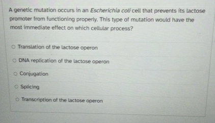 Solved A genetic mutation occurs in an Escherichia coli cell | Chegg.com