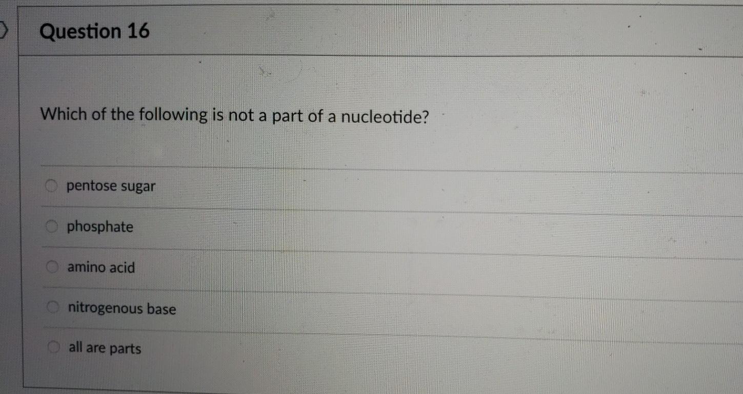 Solved Question 14 The RNA transcript produced by a given | Chegg.com