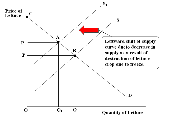 Solved: Chapter 7 Problem 3P Solution | Exploring Microeconomics 7th ... Solved: Chapter 7 Problem 3P Solution | Exploring Microeconomics 7th ...