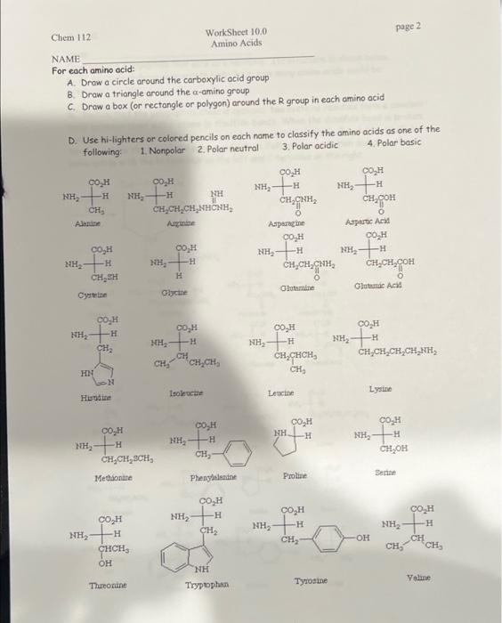 Solved Chem 112 WorkSheet 10.0 page 1 Amino Acids NAME The | Chegg.com
