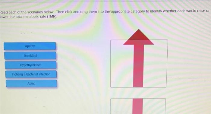 Solved Read each of the scenarios below. Then click and drag | Chegg.com