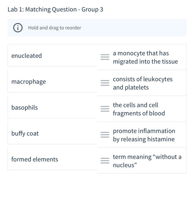 Solved Lab 1: Matching Question - Group 3 O Hold and drag to | Chegg.com Solved Lab 1: Matching Question - Group 3 O Hold and drag to | Chegg.com
