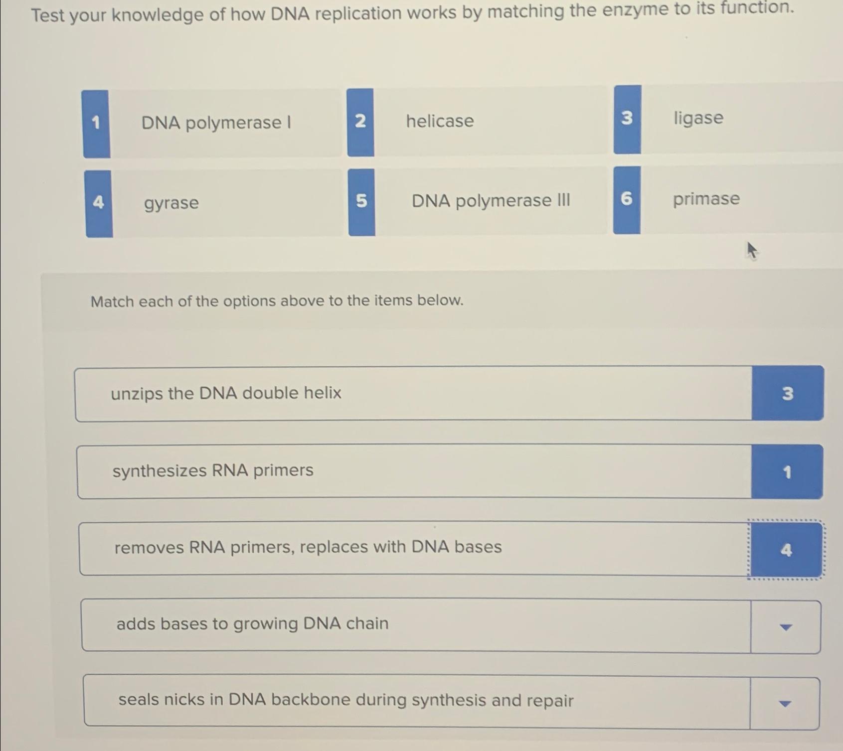 Solved Test your knowledge of how DNA replication works by | Chegg.com