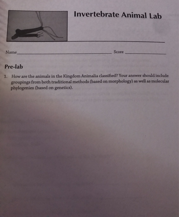 Solved Invertebrate Animal Lab Name Score Pre-lab 1. How are | Chegg.com