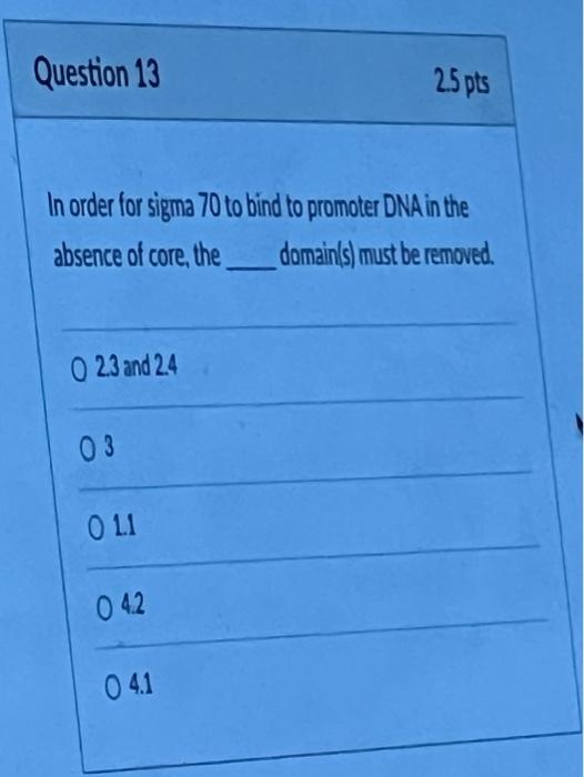 Solved In order for sigma 70 to bind to promoter DNA in the | Chegg.com