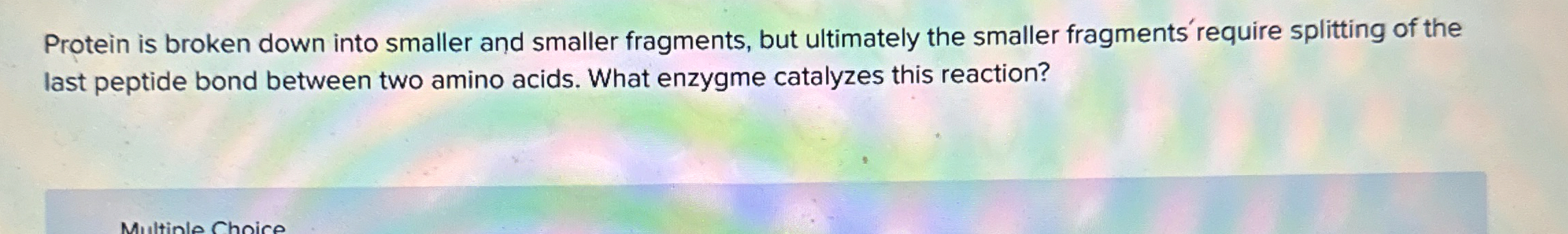 Solved Protein is broken down into smaller and smaller | Chegg.com