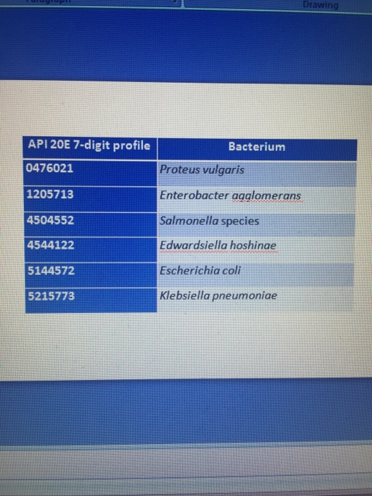 Exercise 8 Use Of The Api 20e System To Identify Gram