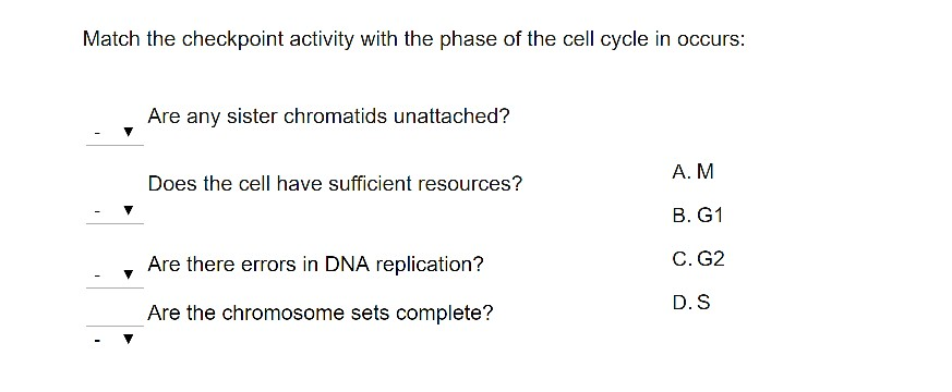 Solved Match the checkpoint activity with the phase of the | Chegg.com