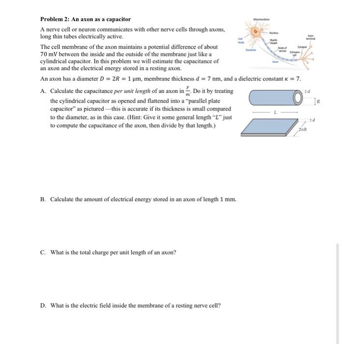 Solved Problem 2: An axon as a capacitor A nerve cell or | Chegg.com