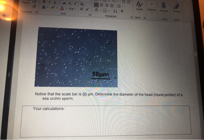 Notice that the scale bar says "50um," which is 50 | Chegg.com