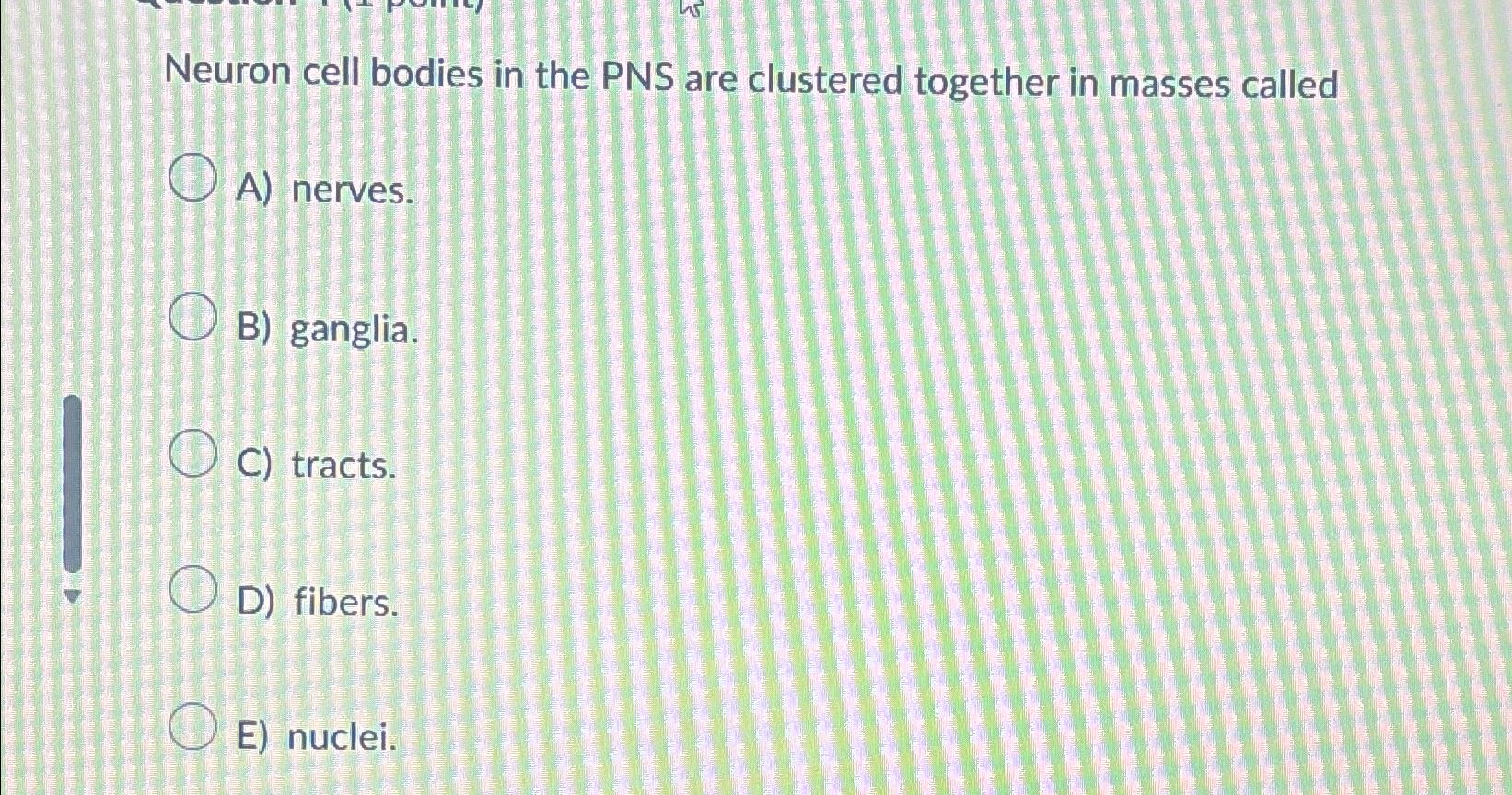 Solved Neuron cell bodies in the PNS are clustered together | Chegg.com