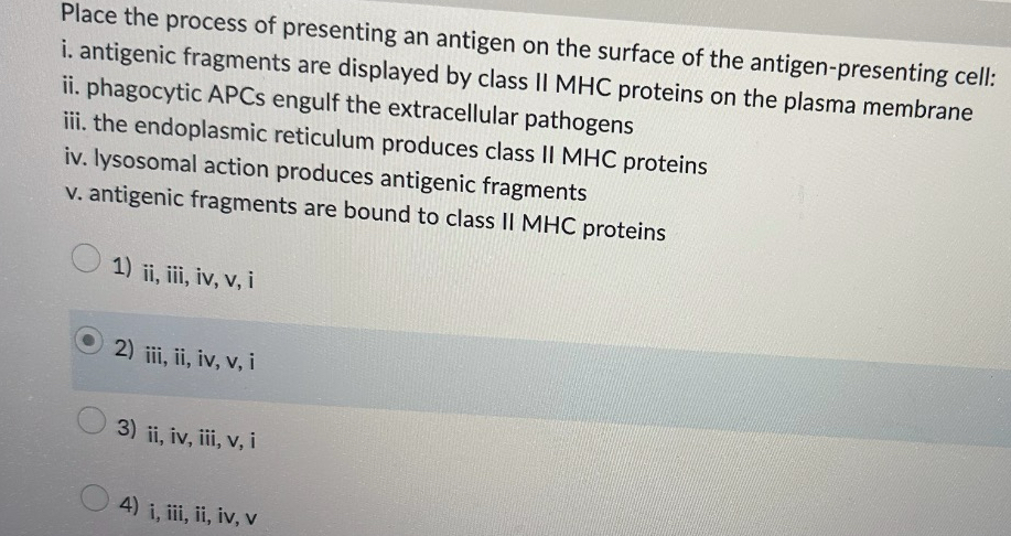 Solved Place the process of presenting an antigen on the | Chegg.com