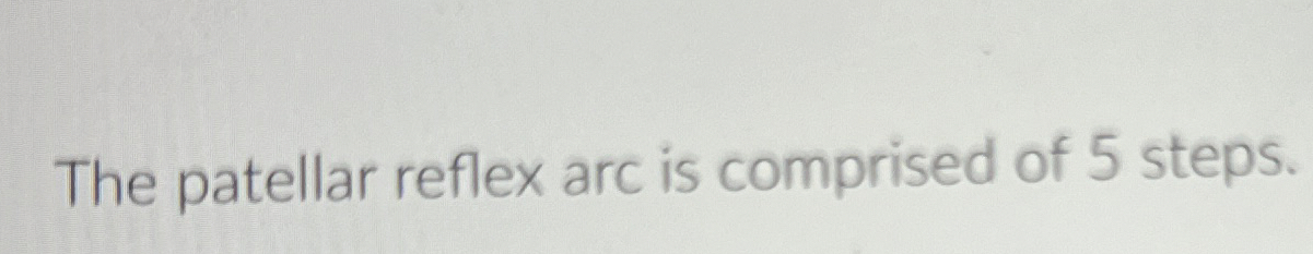 Solved The patellar reflex arc is comprised of 5 ﻿steps. | Chegg.com