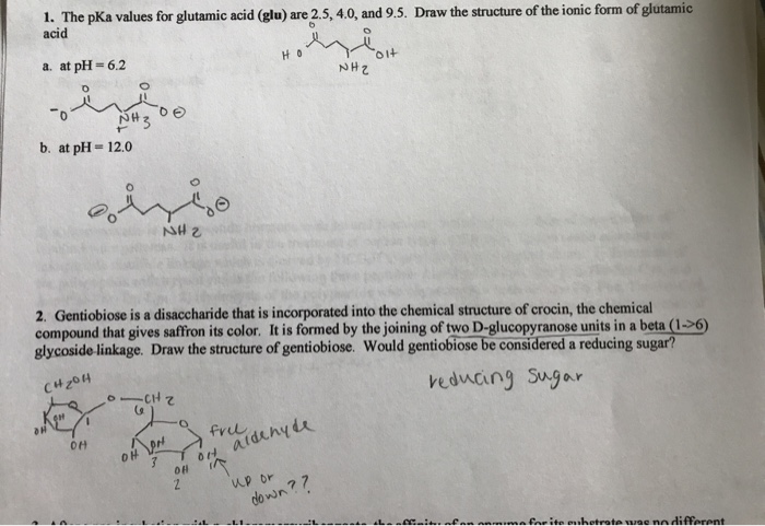 Solved 1. The pKa values for glutamic acid (glu) are 2.5, | Chegg.com