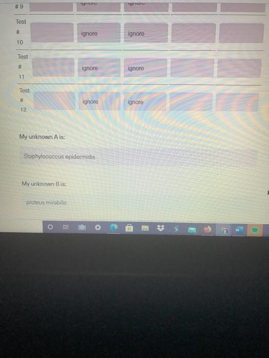 Solved IDENTIFICATION OF UNKNOWN BACTERIA Organism tube | Chegg.com