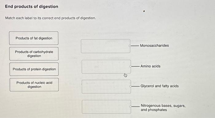 Solved End products of digestion Match each label to its | Chegg.com