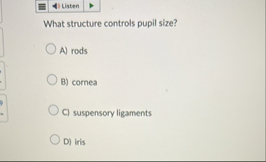 Solved What structure controls pupil size?\geoquad A) | Chegg.com
