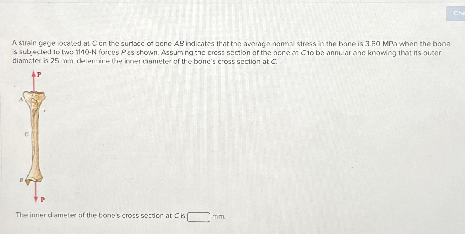 Solved A strain gage located at C ﻿on the surface of bone AB | Chegg.com