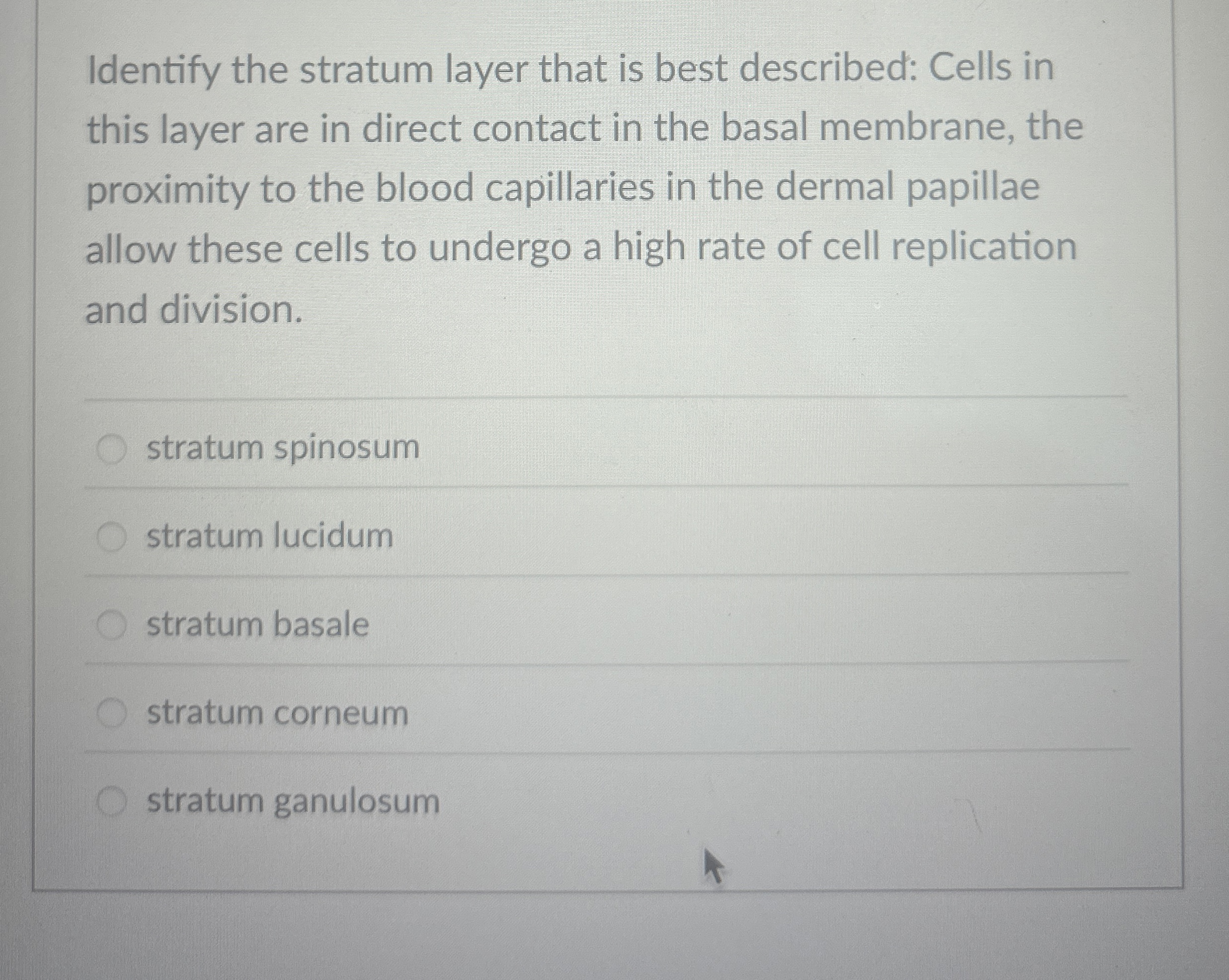 Solved Identify the stratum layer that is best described: | Chegg.com
