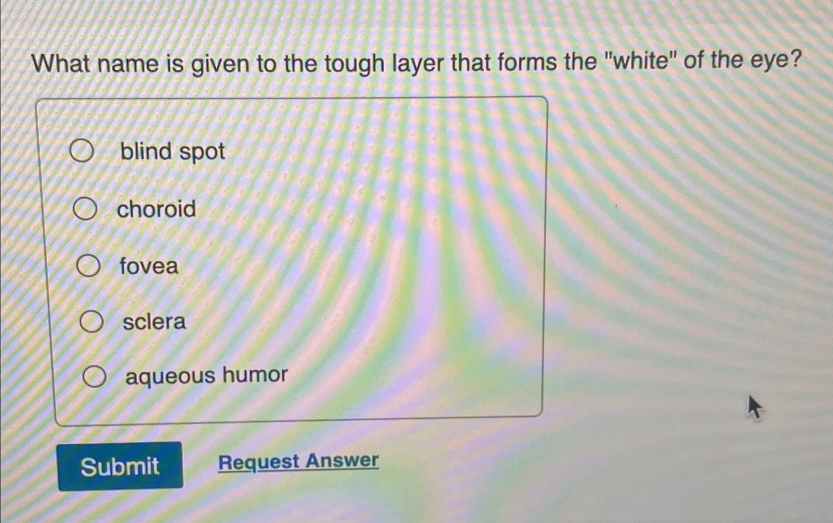 Solved What name is given to the tough layer that forms the | Chegg.com