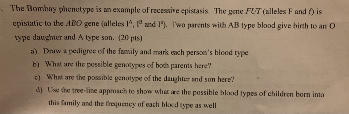 Solved - The Bombay phenotype is an example of recessive | Chegg.com
