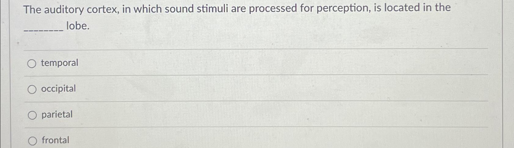 Solved The auditory cortex, in which sound stimuli are | Chegg.com