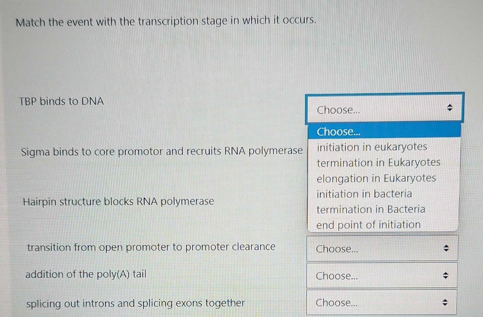 Solved Match the event with the transcription stage in which | Chegg.com