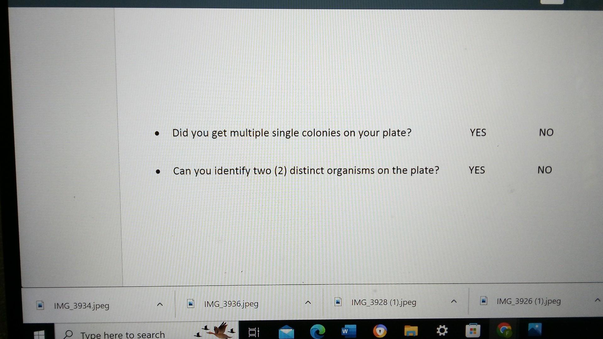 Solved - Broth Characteristics: - Colony | Chegg.com