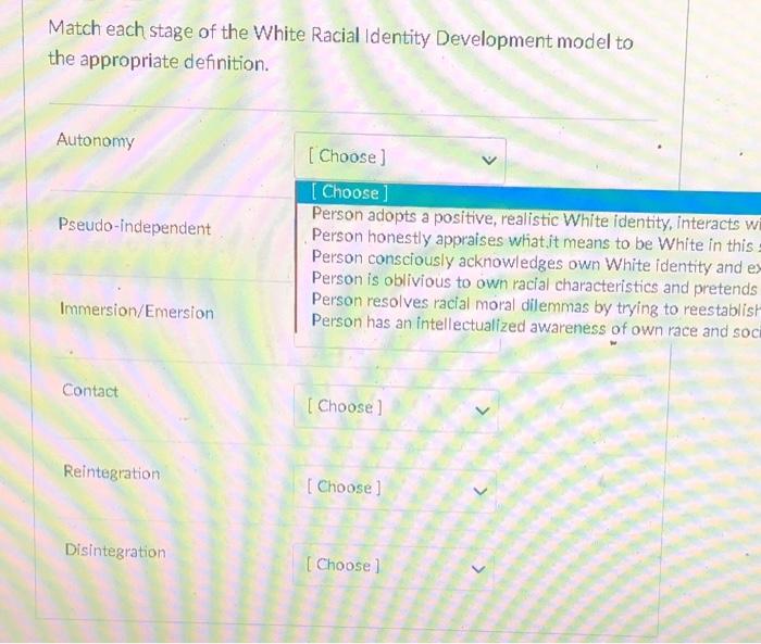Solved Match each stage of the White Racial Identity | Chegg.com