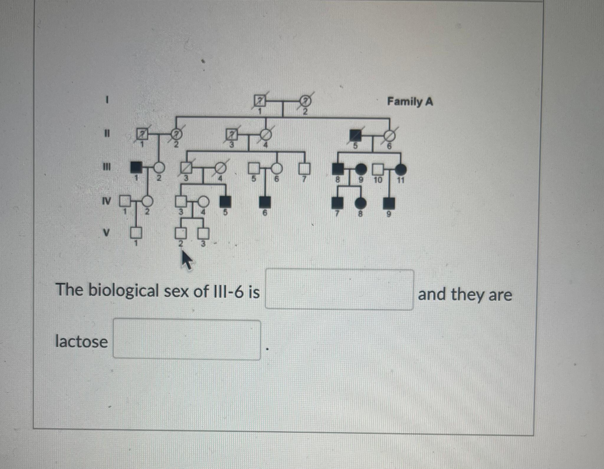 Solved The Biological Sex Of Iii 6 ﻿is And They Are Lactose