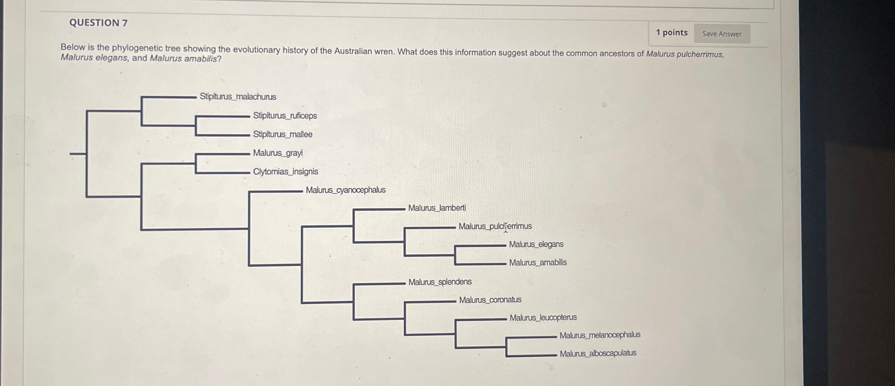 Solved QUESTION 71 ﻿pointsBelow is the phylogenetic tree | Chegg.com